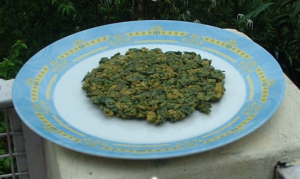 Chenopodiun album L _ Bathu (बाथू).Kadon(कड़ों) – Himalayan Wild Food ...