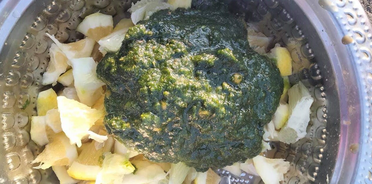 Citrus pseudolimon Tanaka- Galgal (गलगल), Khtta. – Himalayan Wild Food ...